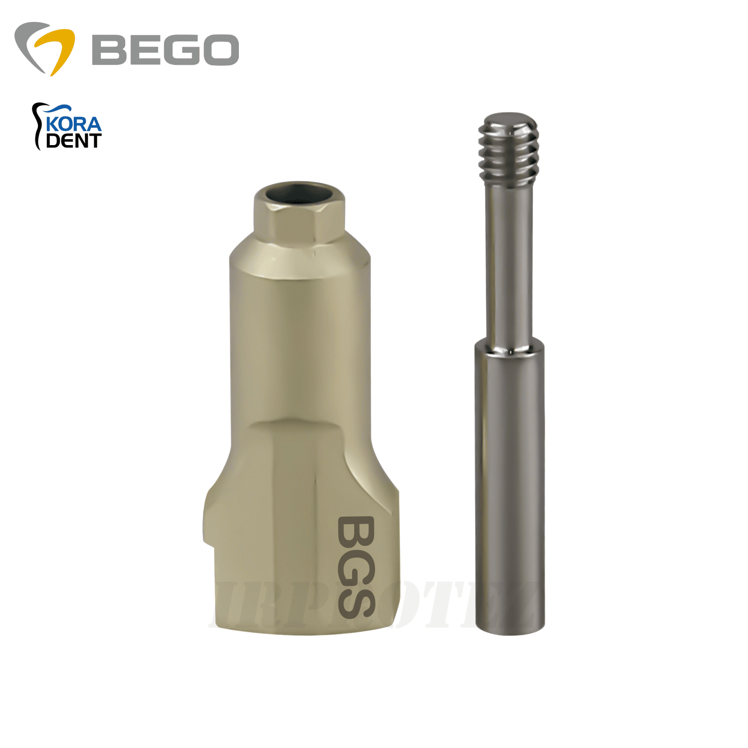 Scan Body BEGO® - ایران پروتز